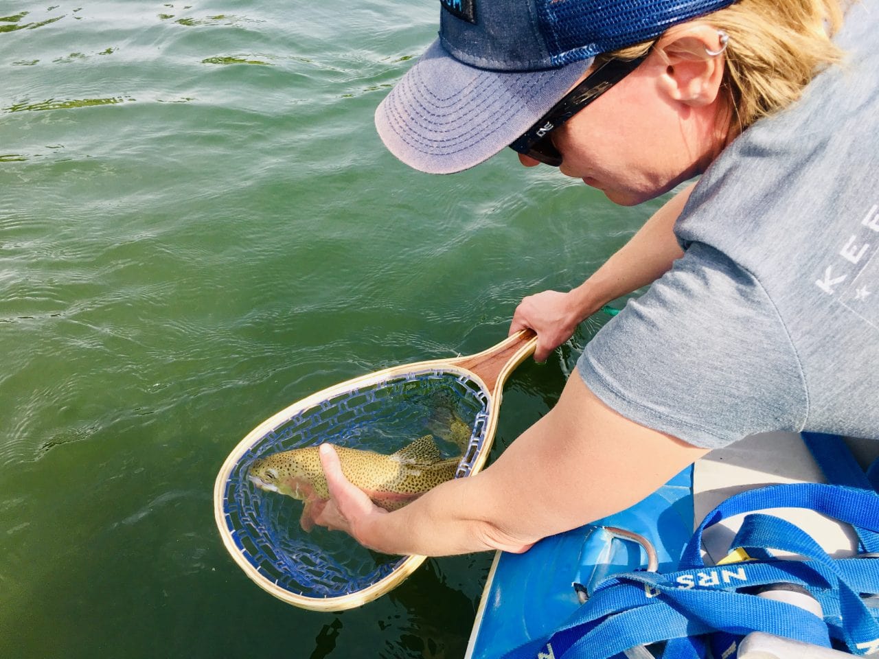 Video & Photos Fly Fishing New Hampshire White Mountains | Swift River ...